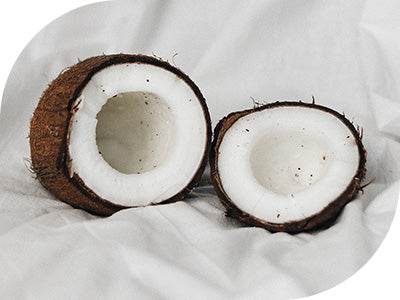 Cocos Nucifera Oil | Guide og fakta om indholdsstoffer i kosmetik